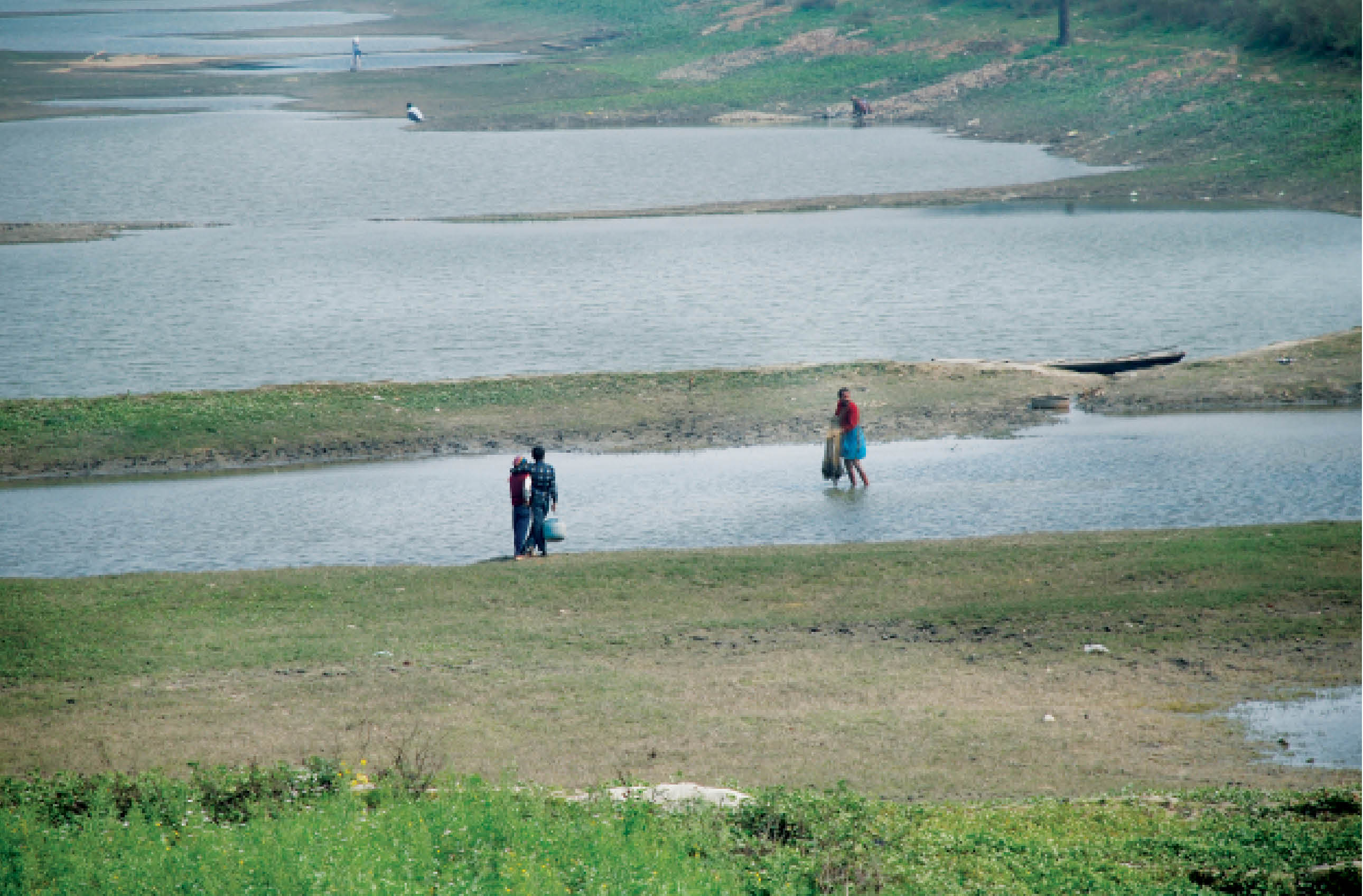 GNY :: Wetland Conservation