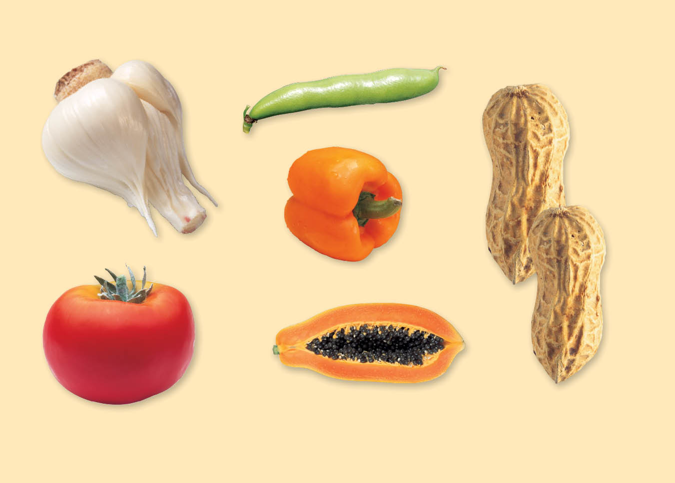 GNY :: Genetic Use Restriction Technologies