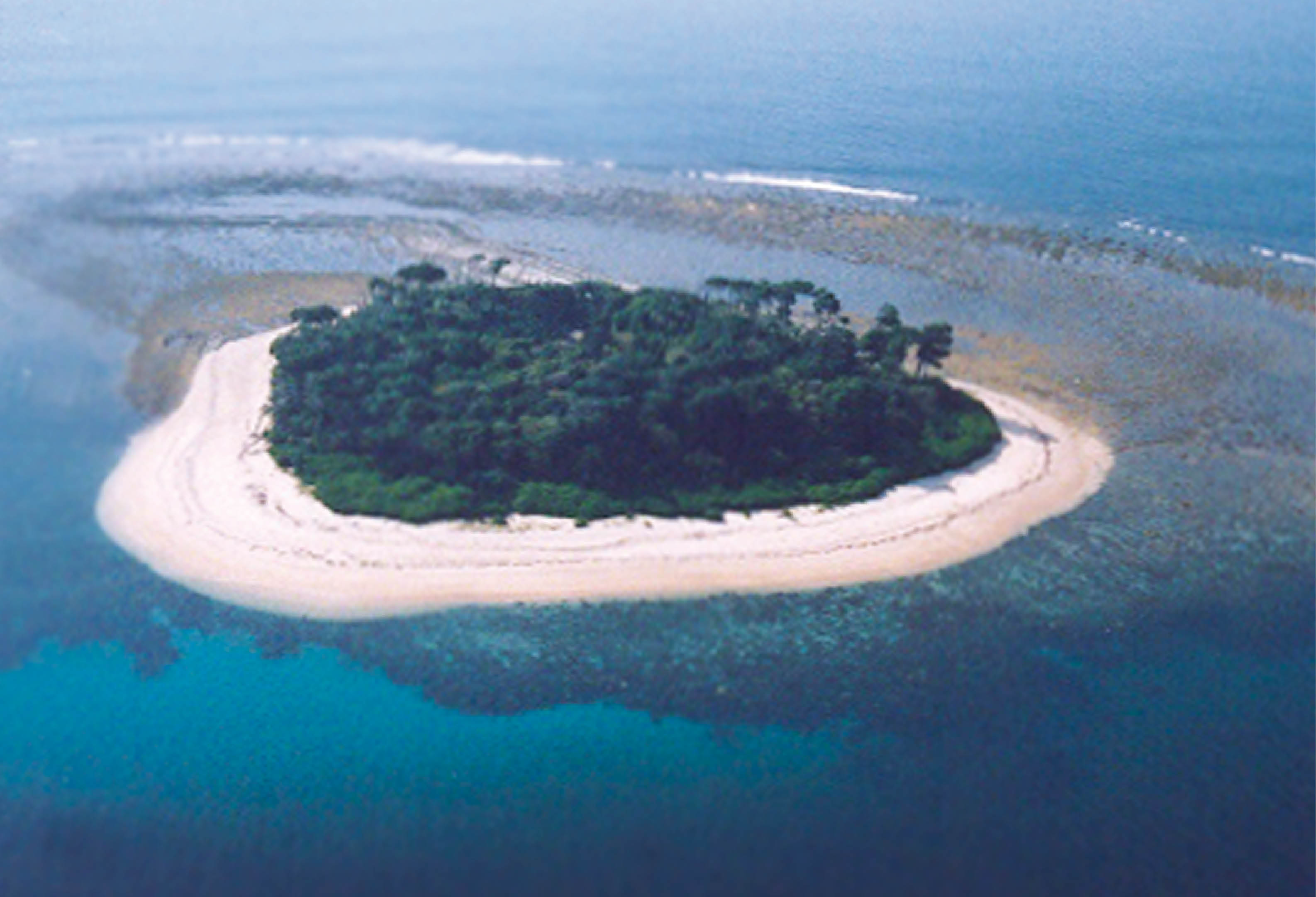 GNY :: Islands of India