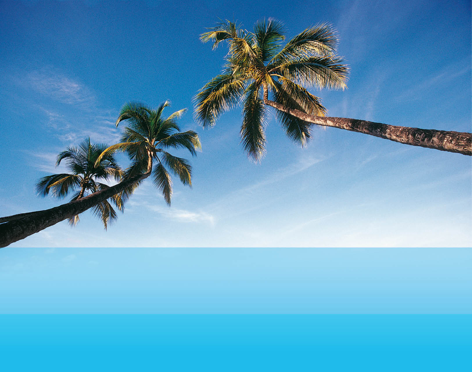 GNY :: Towards Better Environment