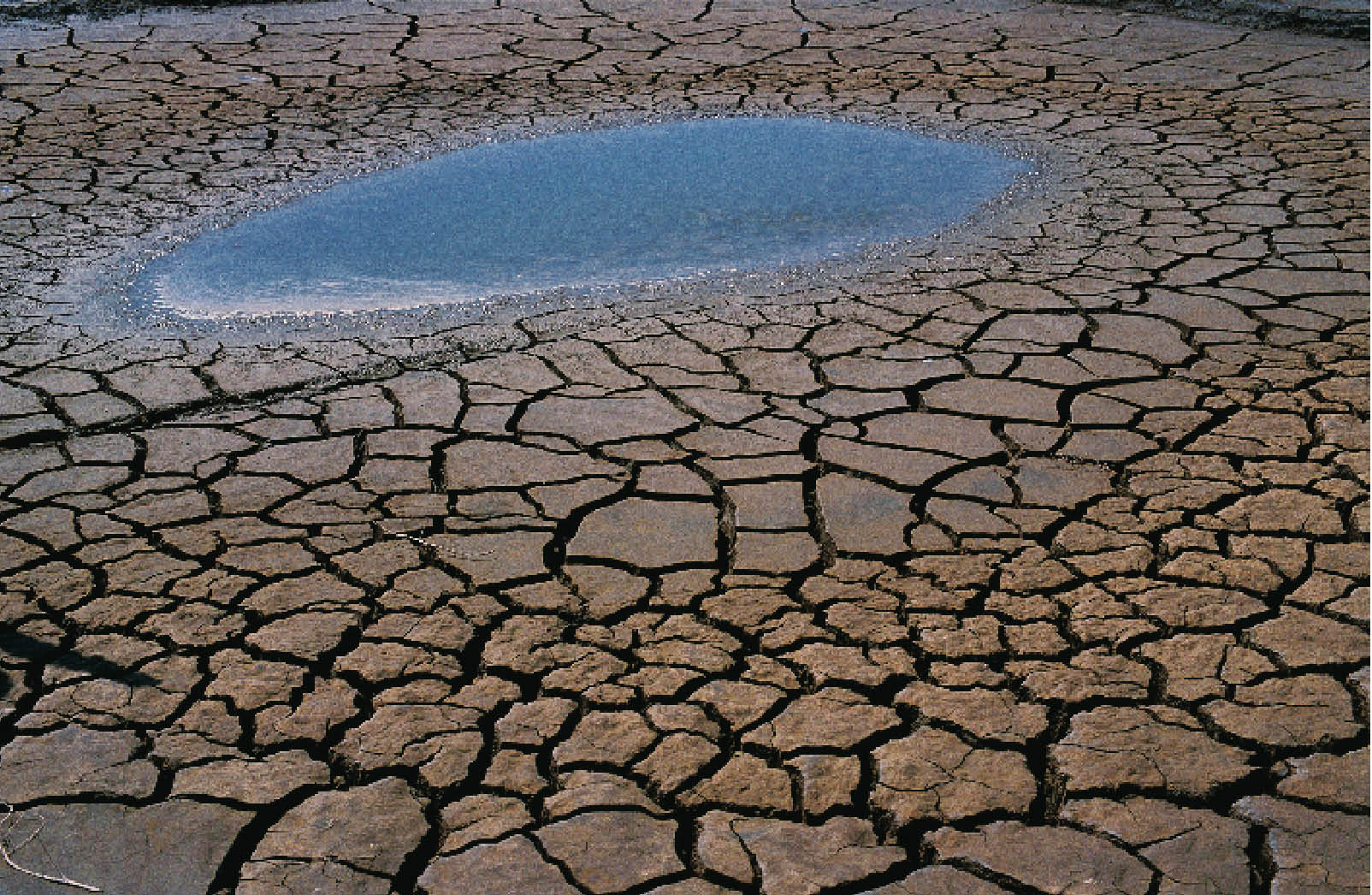 GNY :: Dwindling Ground Water